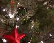 Main Home - The Christmas Collective