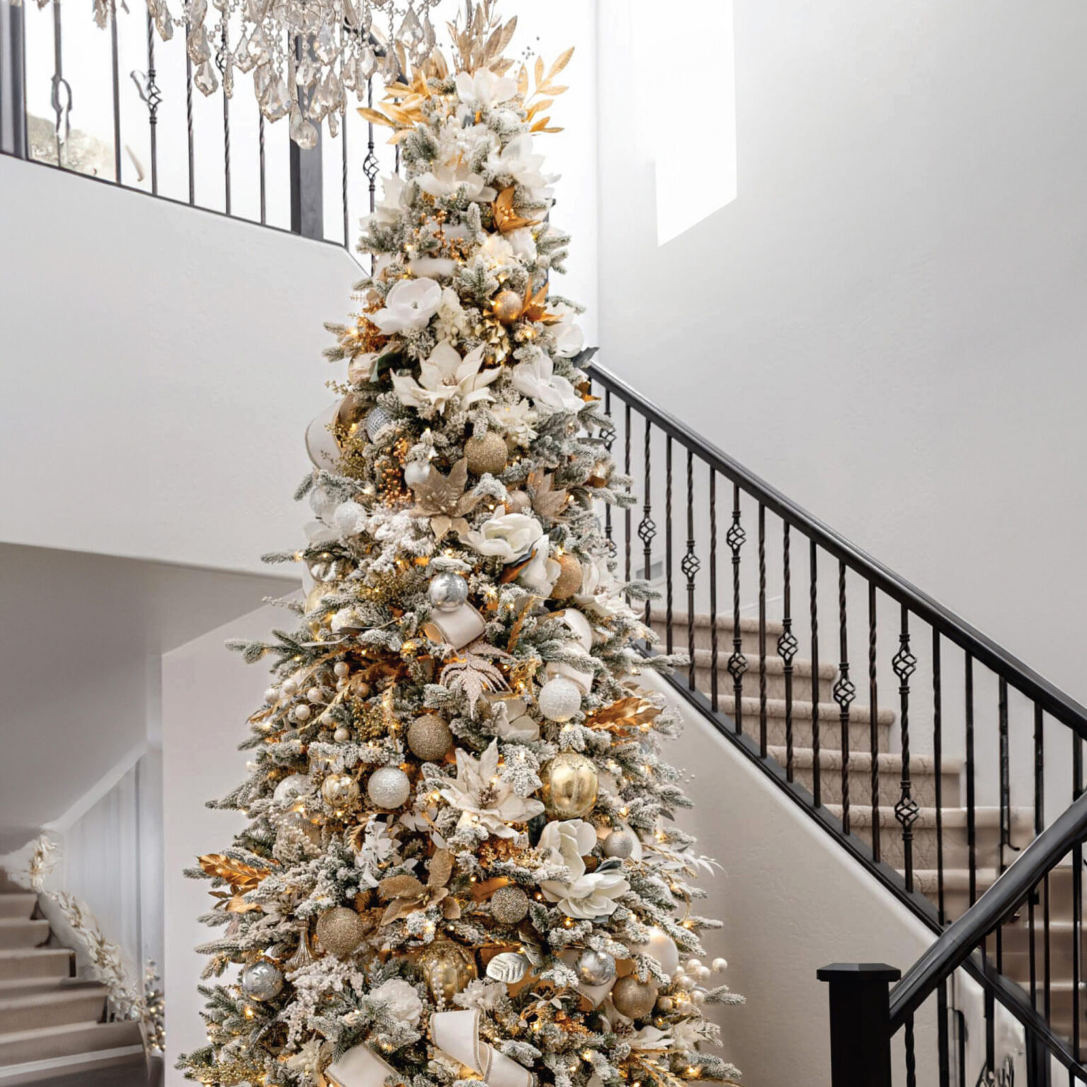 Main Home - The Christmas Collective