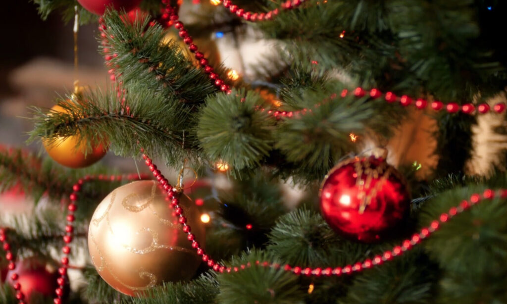 Main Home - The Christmas Collective